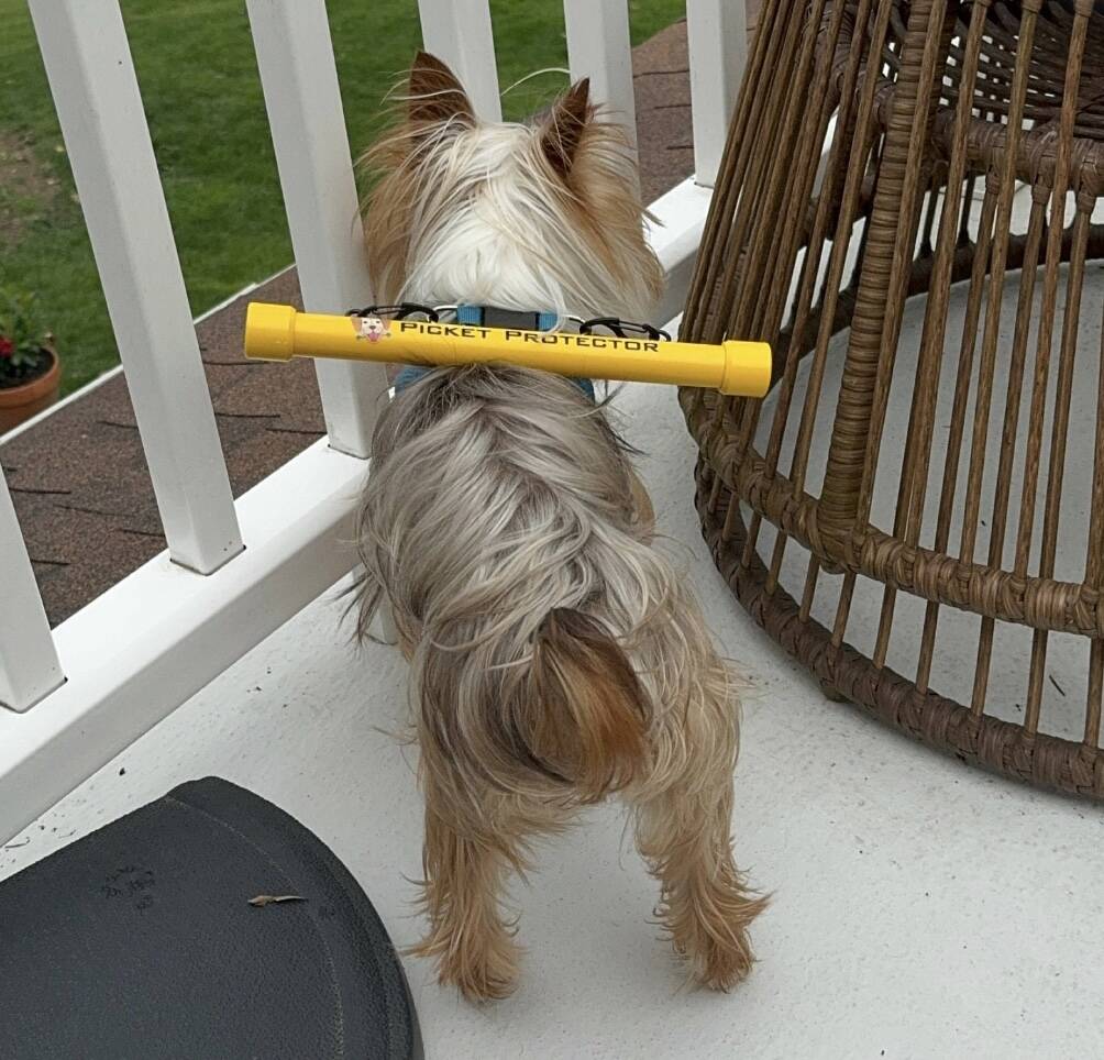 Home | Picket Protector