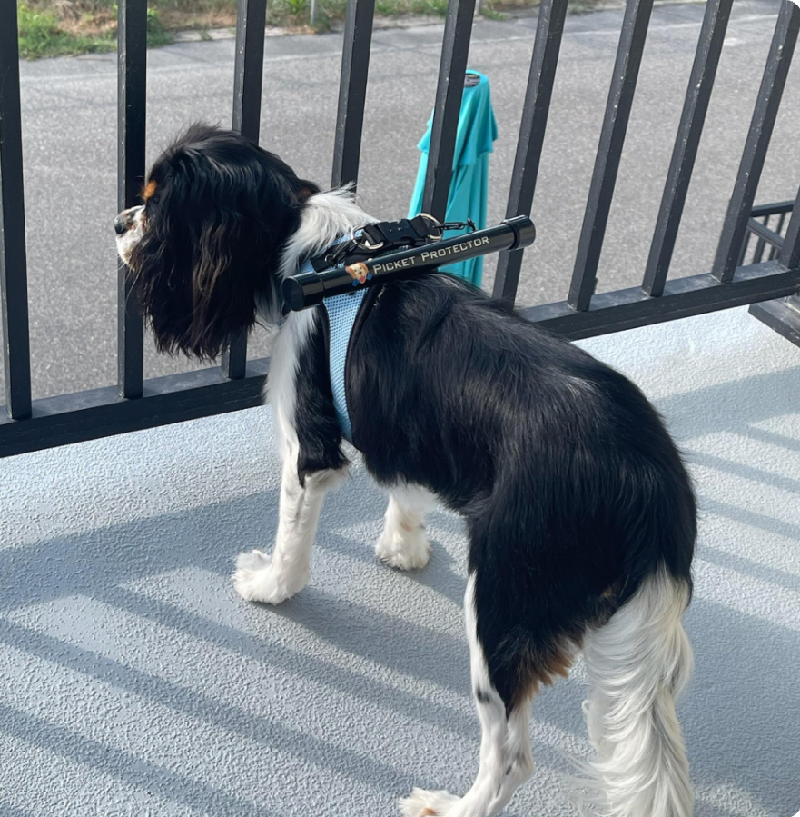 Home | Picket Protector